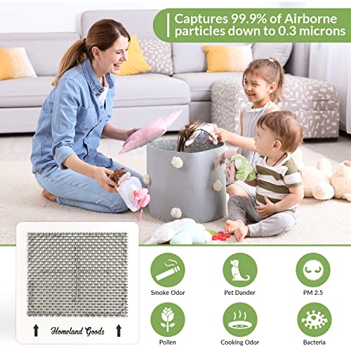 1 Ozone Plate for Alpine Ecoquest Living Air Purifiers (1)