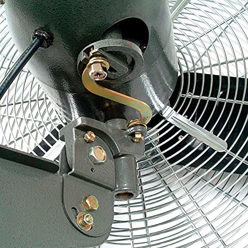 Global Industrial Oscillating Wall Mount Fan, 30" Diameter, 1/3HP, 8775CFM