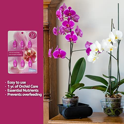 Chrysal Orchid Food Drops — Orchid Care — One Pack for a Year Supply — Concentrated Flower Food for All Species of Orchids — Ideal Florist Supplies — Outdoor and Indoor Plant Food