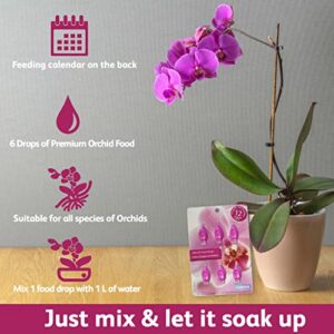 Chrysal Orchid Food Drops — Orchid Care — One Pack for a Year Supply — Concentrated Flower Food for All Species of Orchids — Ideal Florist Supplies — Outdoor and Indoor Plant Food