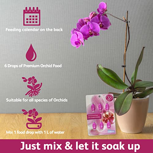 Chrysal Orchid Food Drops — Orchid Care — One Pack for a Year Supply — Concentrated Flower Food for All Species of Orchids — Ideal Florist Supplies — Outdoor and Indoor Plant Food