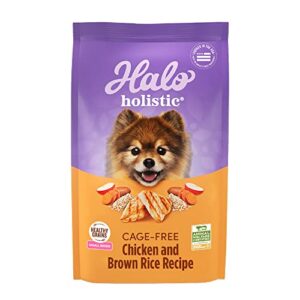 halo holistic dog food, complete digestive health cage-free chicken and brown rice recipe, dry dog food bag, small breed formula, 10-lb bag