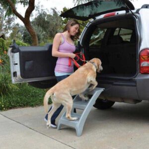 Booster Bath Steps for Dog Bath