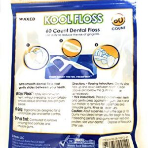 60 Count Dental Floss Pick