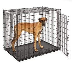 midwest homes for pets sl54dd ginormus double door dog crate for xxl for the largest dogs breeds, great dane, mastiff, st. bernard, black