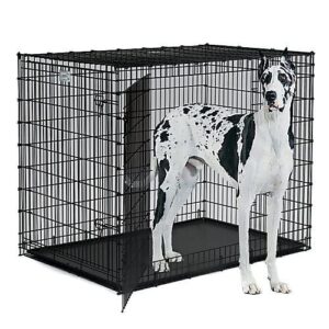 Midwest Homes for Pets SL54DD Ginormus Double Door Dog Crate for XXL for the Largest Dogs Breeds, Great Dane, Mastiff, St. Bernard, Black