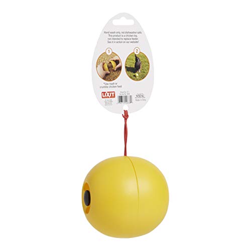 Lixit Chicken Feeder Toy (1 Pack)