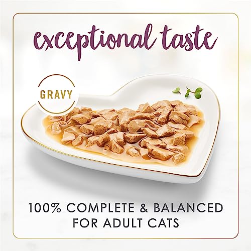 Purina Fancy Feast Wet Cat Food, Gravy Lovers Chicken Feast in Grilled Chicken Flavor Gravy - (24) 3 oz. Cans