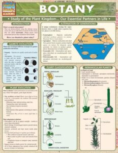 botany study chart