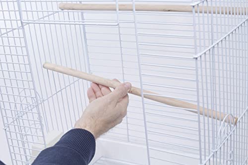 PENN-PLAX Cockatiel & Small Parrot Starter Kit with Birdcage, Cover, and Accessories – Great for Cockatiels, Conures, and Small Parrots – Square Dome – White