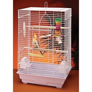 PENN-PLAX Cockatiel & Small Parrot Starter Kit with Birdcage, Cover, and Accessories – Great for Cockatiels, Conures, and Small Parrots – Square Dome – White