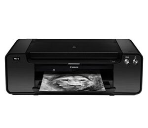 canon pixma pro-1 wireless color photo printer