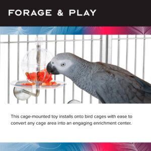 Featherland Paradise | Cage Mounted Buffet Ball | Interactive Bird Toy and Treat Dispenser | Creative Foraging Systems | Ideal for Medium to Extra Large Birds