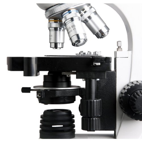 AmScope T360B-8M Digital Trinocular Compound Microscope, 40X-2000X Magnification, WF10x and WF20x Eyepieces, Brightfield, LED Illumination, Abbe Condenser, Double-Layer Mechanical Stage, Includes 8MP Camera with Reduction Lens and Software