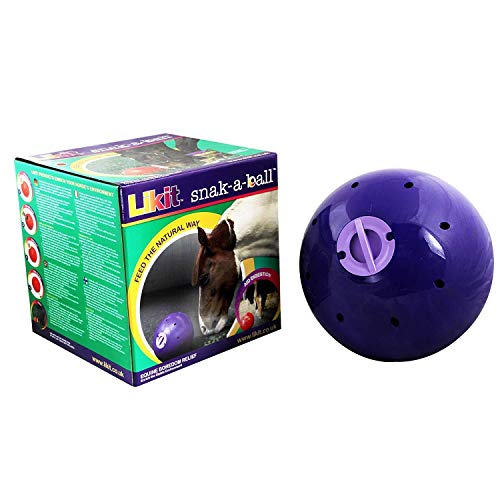 Likit Snak-a-Ball (One Size) (Purple)