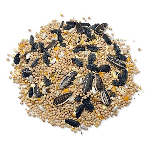 Audubon Park 12245 Premium Blend Wild Bird Food, 10-Pounds