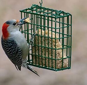 C&S Woodpecker Treat 11 Ounces, 12 Pack