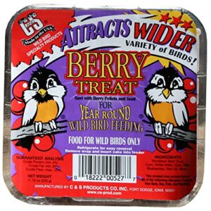 c&s berry suet treat 11.75 ounces, 12 pack