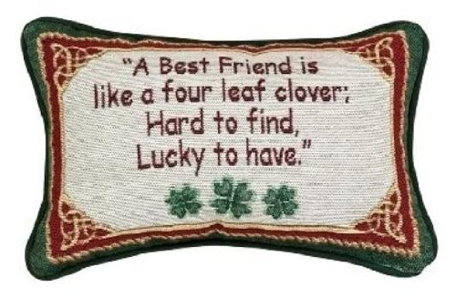 Manual 12.5 x 8.5-Inch Decorative Throw Pillow, Irish Treasures Best Friend