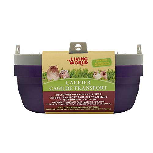 Living World Pet Carrier, Purple/Grey