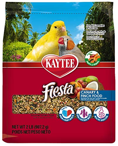 Kaytee Fiesta Canary and Finch Food, 2 Pound Bag