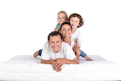 Queen Size 10 Inch Thick, 4 Pound Density Visco Elastic Memory Foam Mattress Bed with Gel Made in The USA