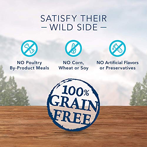 Blue Buffalo Wilderness Trail Treats Wild Bites High Protein Grain Free Soft-Moist Dog Treats, Salmon 4-oz Bag