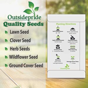 Outsidepride Perennial Stevia Sweetleaf Herb Garden Plant Sugar Substitute & Sweetener Alternative - 50 Seeds