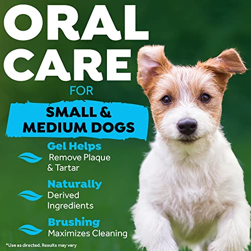 TropiClean Fresh Breath Oral Care Kit for Small & Medium Dogs - Complete Toothbrush & Toothpaste Gel Kit - Helps Remove Plaque & Tartar + Breath Freshener