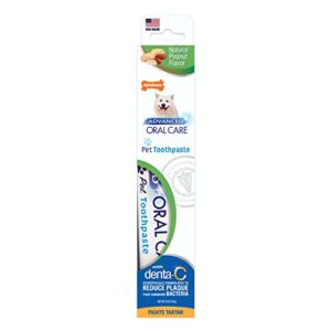 nylabone advanced oral care natural toothpaste peanut butter 2.5 oz. (1 count)