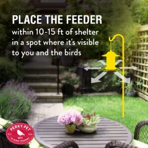 Perky-Pet 312-1SR Outdoor Panorama Wild Bird Feeder - 2 Lb Seed Capacity