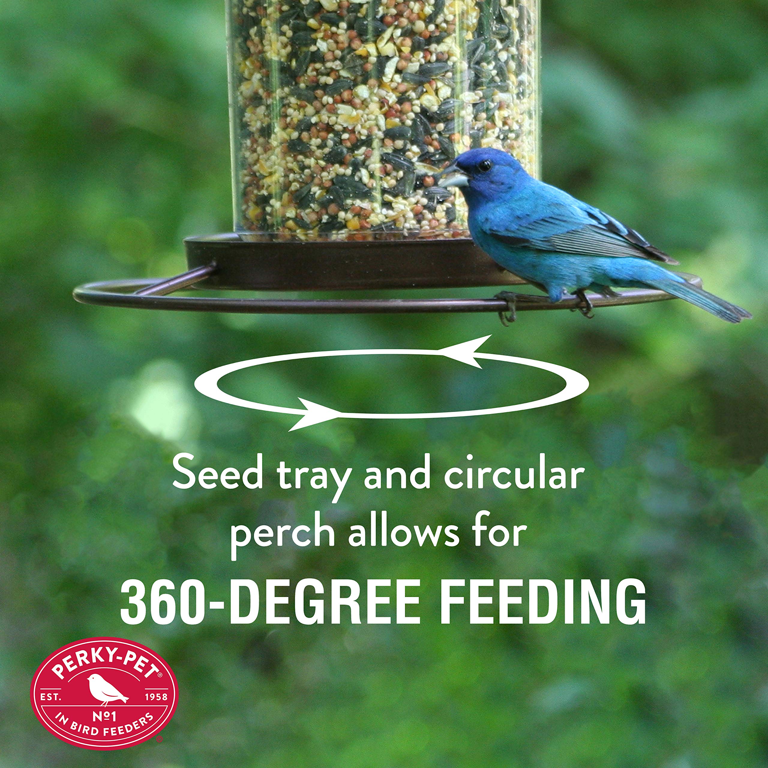 Perky-Pet 312-1SR Outdoor Panorama Wild Bird Feeder - 2 Lb Seed Capacity