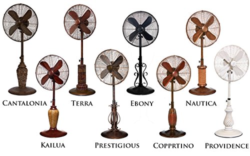 Deco Breeze Pedestal Standing 3 Speed Oscillating Fan with Adjustable Height, 18 inches, Prestigious