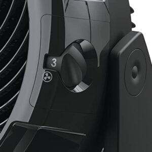 Lasko 3635 10-Inch Blades Air Flexor Floor or Wall Mount Fan, Black