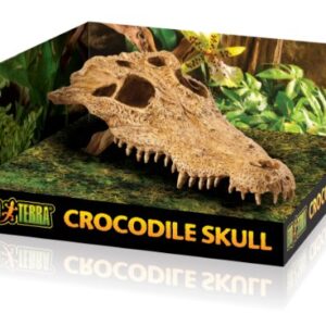 Exo Terra Terrarium Decor Croc Skull LQ, for Reptile and Amphibians