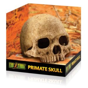 Exo Terra Terrarium Decor Primate Skull