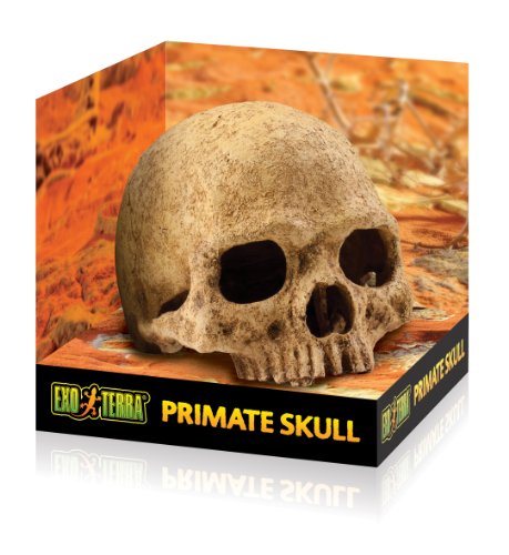 Exo Terra Terrarium Decor Primate Skull