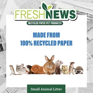 Fresh News Recycled Paper Small Animal Litter Bedding, 10 Liters