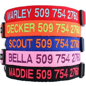 gotags personalized dog collar, custom embroidered with pet name and phone number in blue, black, pink, red and orange, for boy and girl dogs, 4 adjustable sizes, xsmall, small, medium, and large