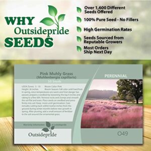 Outsidepride Muhlenbergia Capillaris Pink Muhly Ornamental Grass Plant for Beds, Borders, Containers, & Planters - 50 Seeds