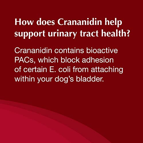 Nutramax Crananidin Cranberry Extract Urinary Tract Health Supplement for Dogs, 75 Chewable Tablets