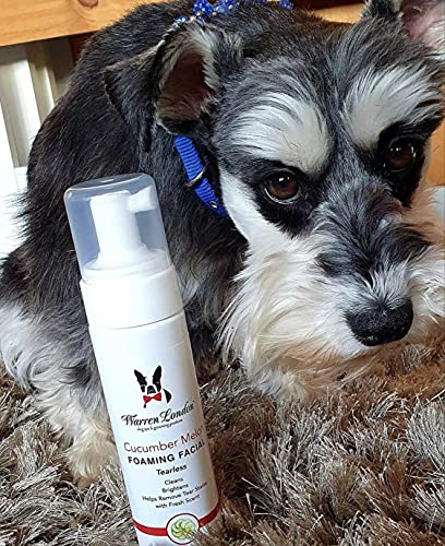 Warren London Foaming Pet Facial | Tear Free Dog Face Wash | Tearless Dog Shampoo for Faces & Dog Eye Stain Remover | Refreshing Cucumber Melon Wash | Made in USA | 8oz