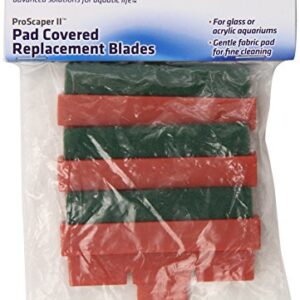 Kent Marine AKM00984 3-Pack Algae Blade Pad