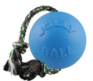 jolly pets romp-n-roll rope and ball dog toy, 8 inches/large, blueberry, all breed sizes