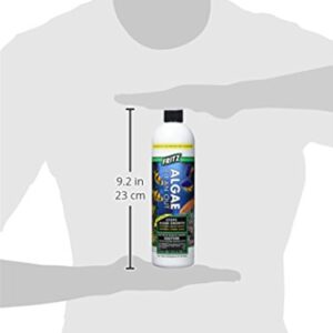 Fritz Aquatics Algae Clean Out - Algaecide for Fresh and Salt Water Aquariums, 16 oz