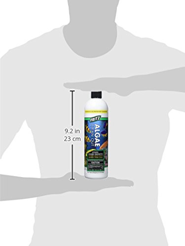 Fritz Aquatics Algae Clean Out - Algaecide for Fresh and Salt Water Aquariums, 16 oz