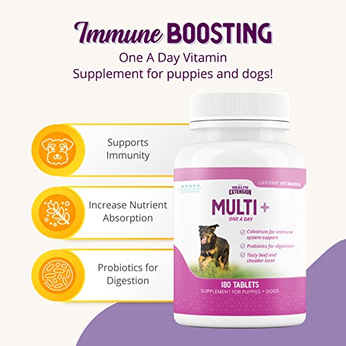 Health Extension Lifetime Multivitamin and Minerals for Dogs & Puppies, Supplements for Immune System, Digestion, Joint Support, Coat & Skin, Contains Vitamin A, D, E, K, B12, 60 Tablets