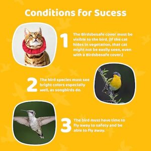 Birdsbesafe® Cat Collar for Birds - Bird Warning Cat Collar, Scientifically Proven to Help Prevent Your Cat from Catching Birds