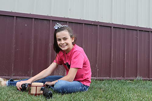 Little Buster Toys Hay Feeder - Round Bale Hay Feeder in Red, 1/16th Scale