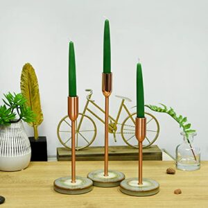 Zest Candle 12-Piece Taper Candles, 6-Inch, Hunter Green